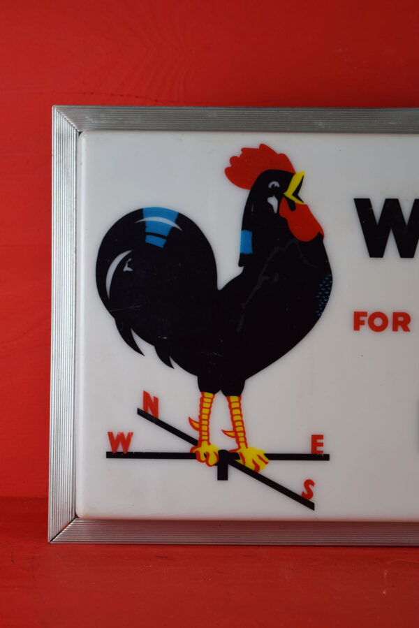 Weather Bird Children's Shoes Light Up Cabinet Sign - Discover ...